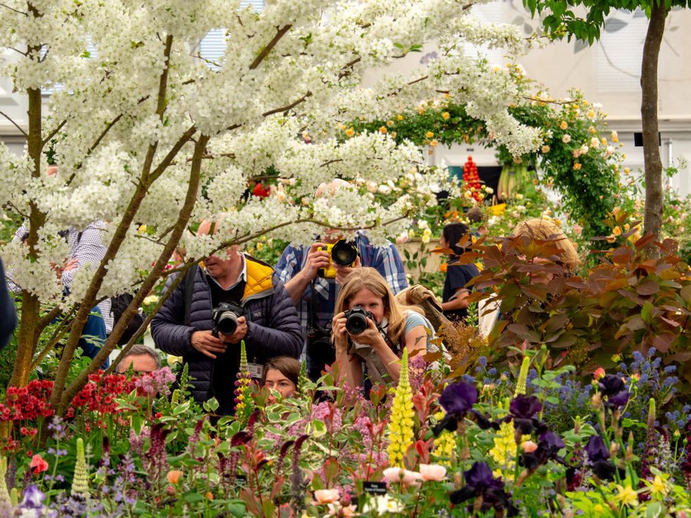 Chelsea Flower Show – GO BRITISH